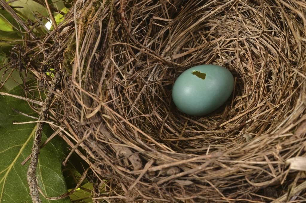 Renovation inspiration for empty nesters